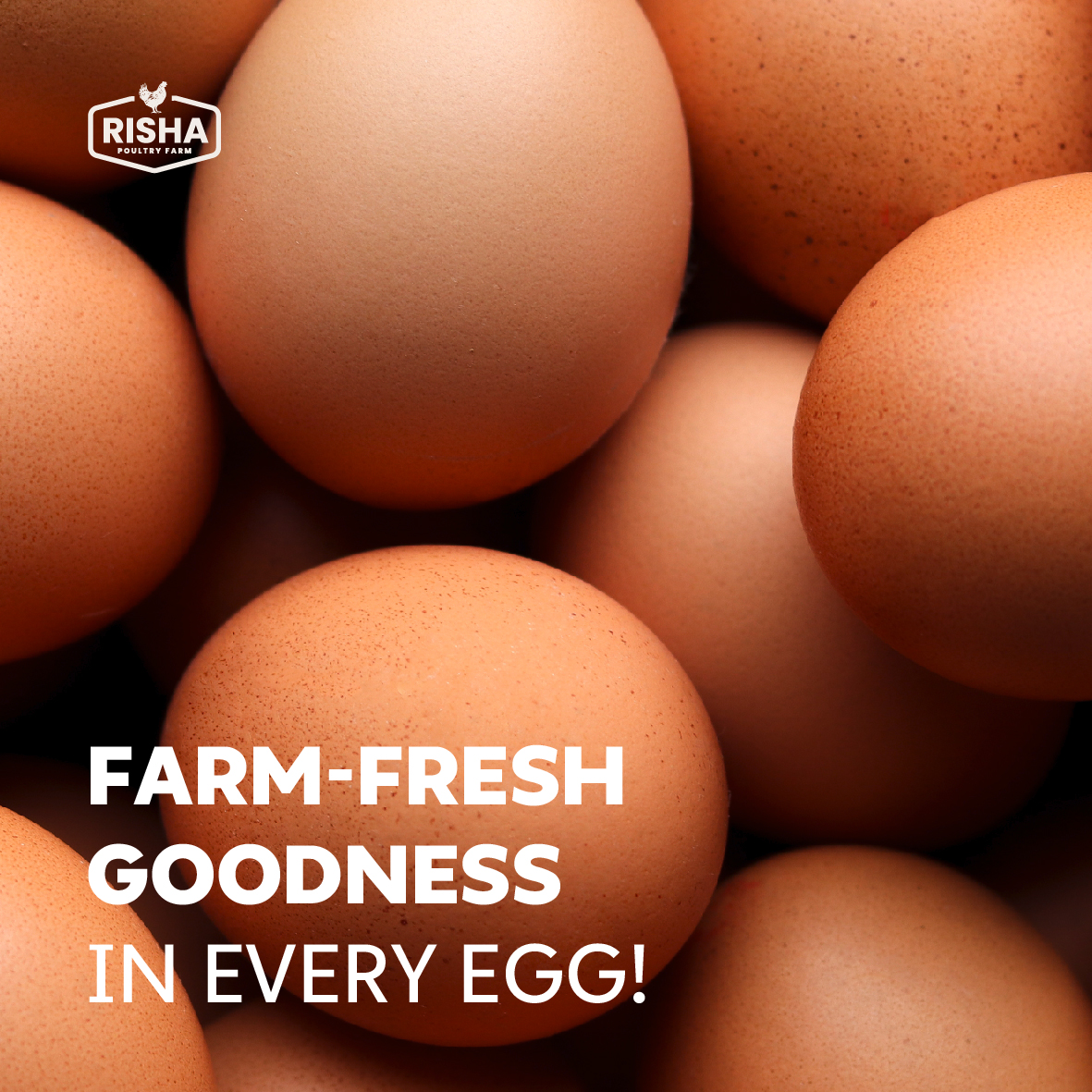 Risha En – Crown Farms